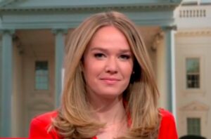 Tricia McLaughlin: The Republican Strategist Behind Vivek Ramaswamy’s ...